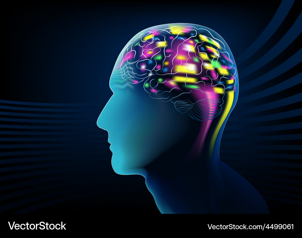 Human Brain Scan - Electrical Activity Royalty Free Vector