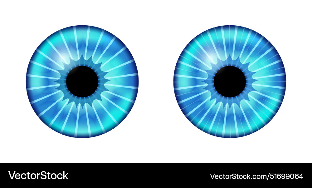 Human iris poster Royalty Free Vector Image - VectorStock