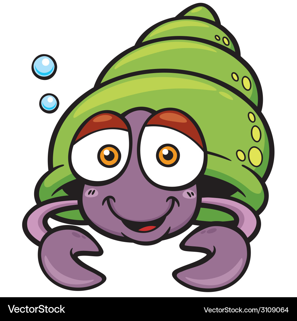 Shell Royalty Free Vector Image - VectorStock