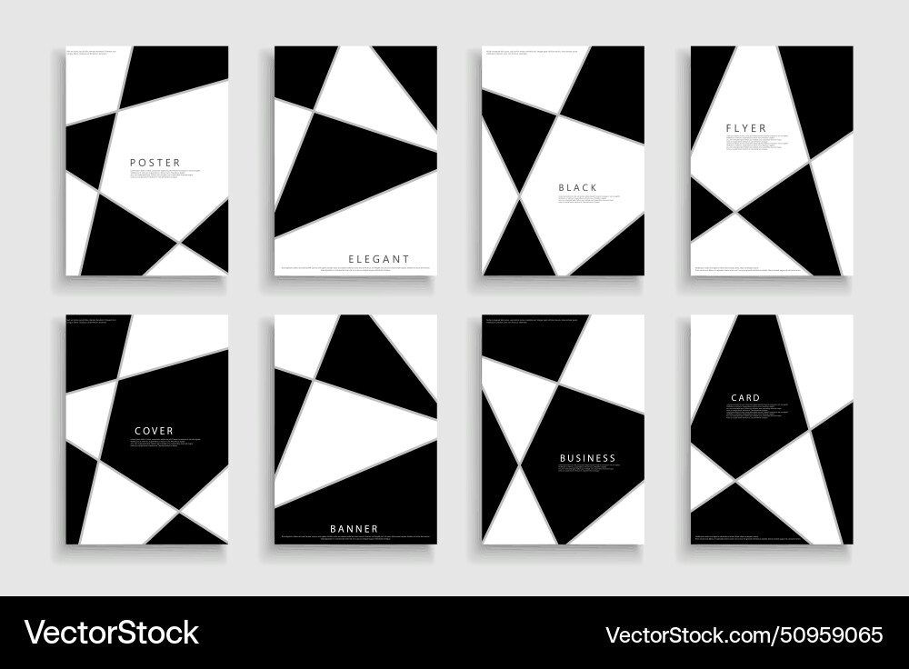 Collection of modern black and white unusual Vector Image