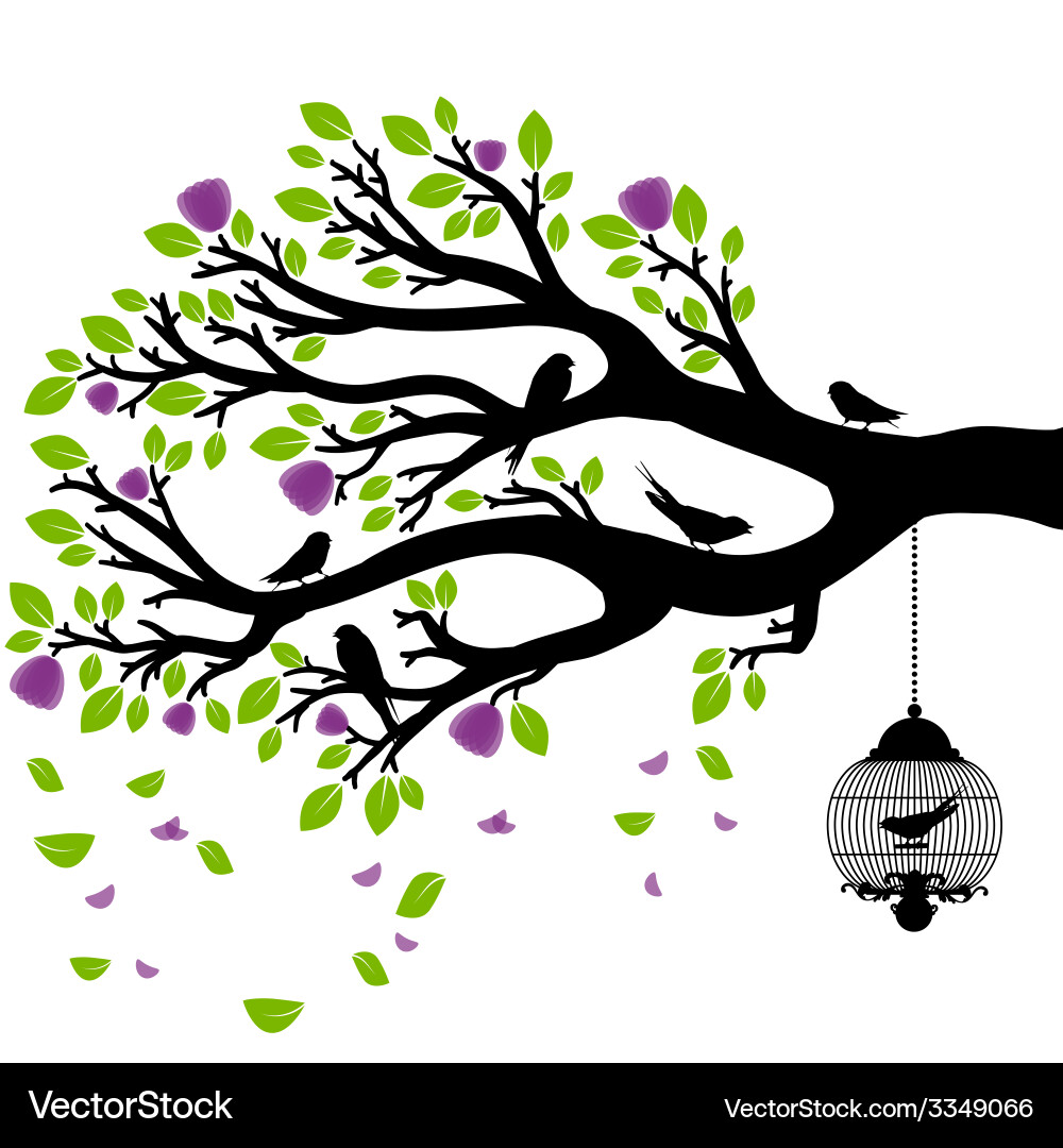 Drawing of the tree with cages Royalty Free Vector Image