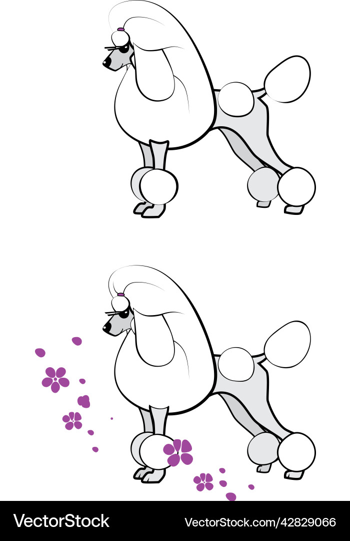 Poodle cartoon dog Royalty Free Vector Image - VectorStock