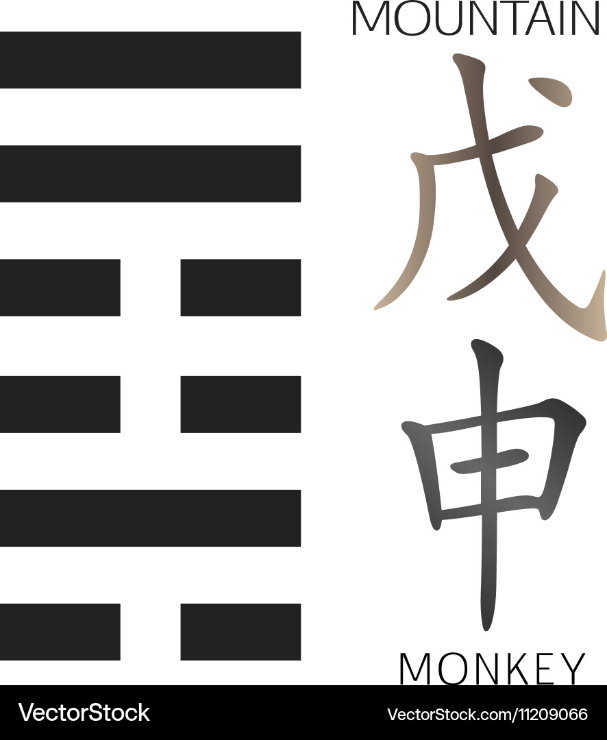 Symbol of i ching Royalty Free Vector Image - VectorStock