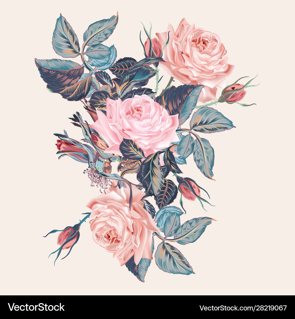 Botanical vintage pink rose Royalty Free Vector Image