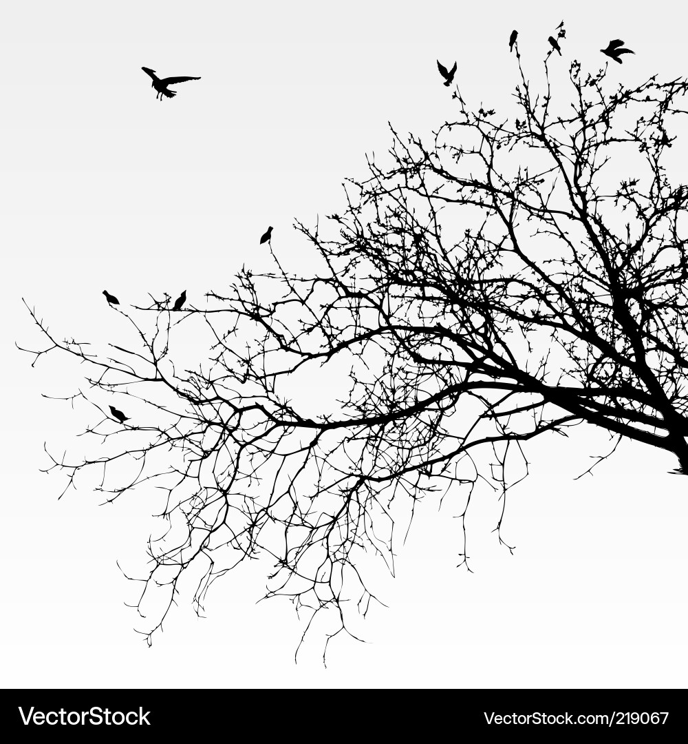 Branches Royalty Free Vector Image - VectorStock