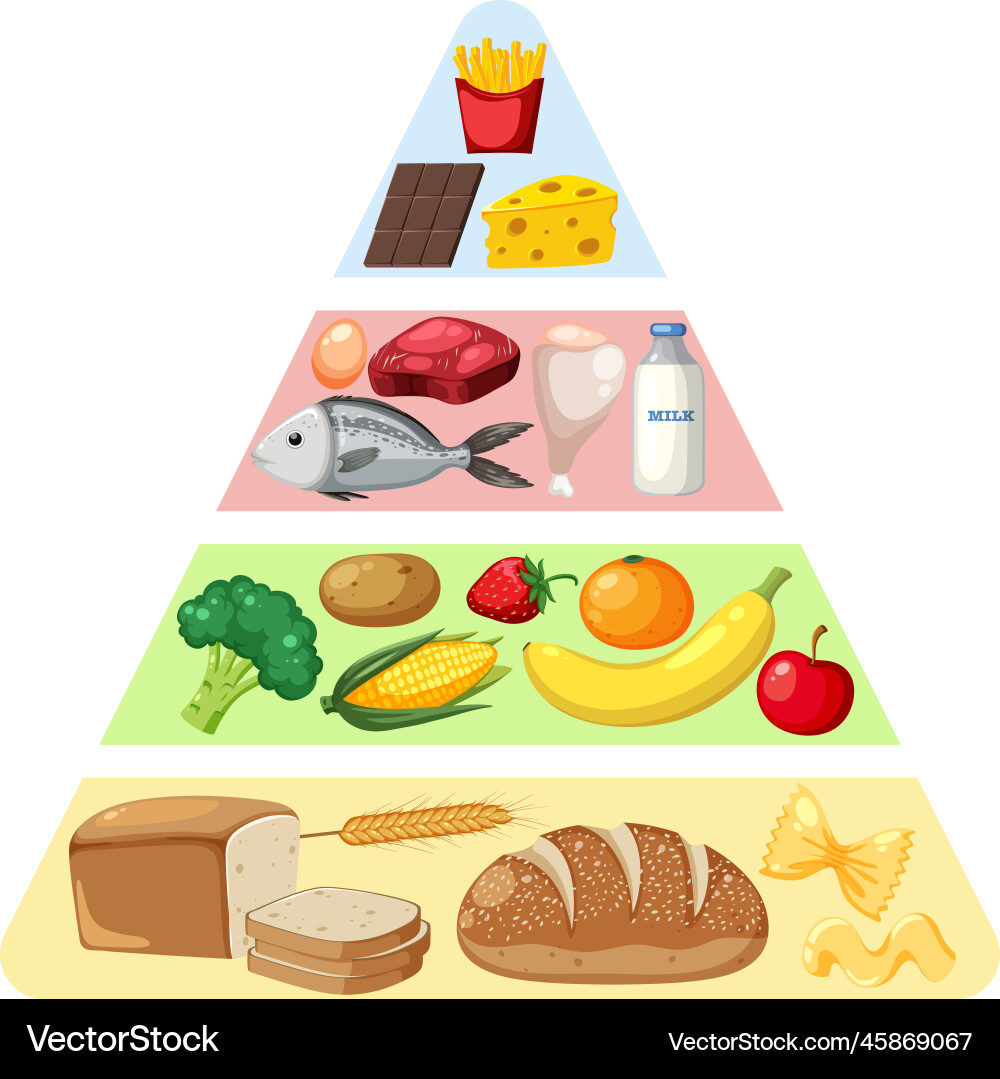 Food nutrition groups pyramid Royalty Free Vector Image