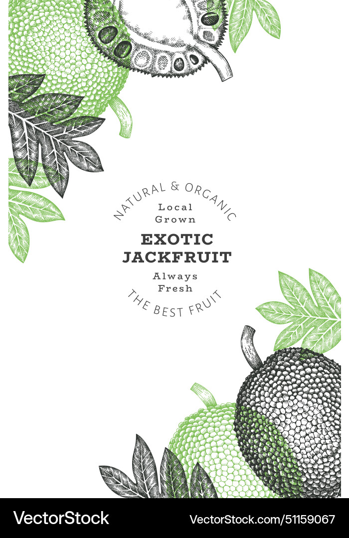 Hand drawn sketch style jackfruit banner organic Vector Image