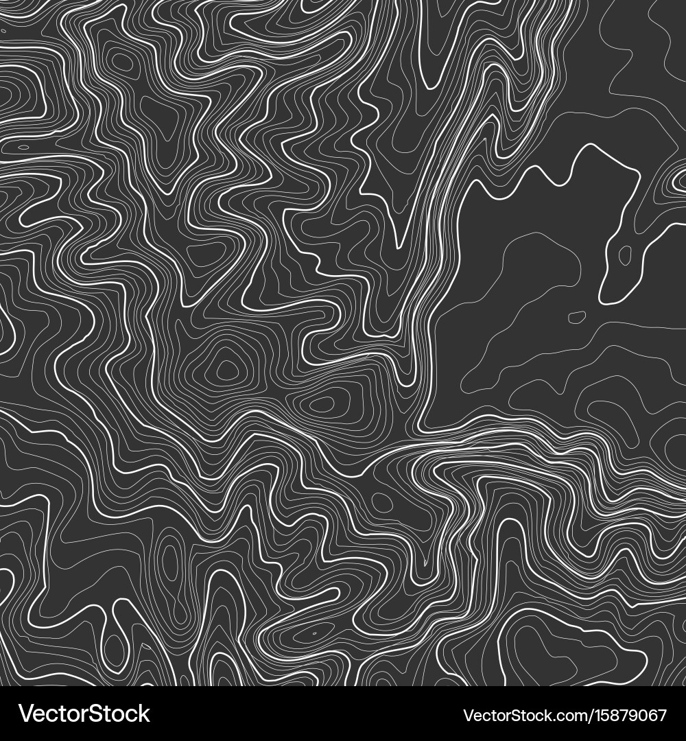 Topographic map background with space for copy Vector Image