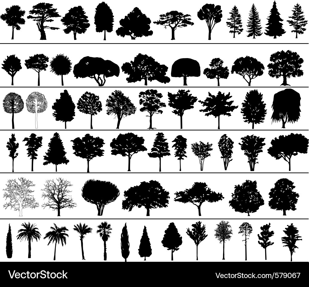 Oak Tree Vector Images (over 59,000)