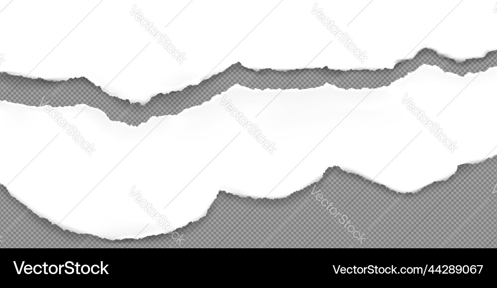 White ripped paper strips realistic scrap borders Vector Image