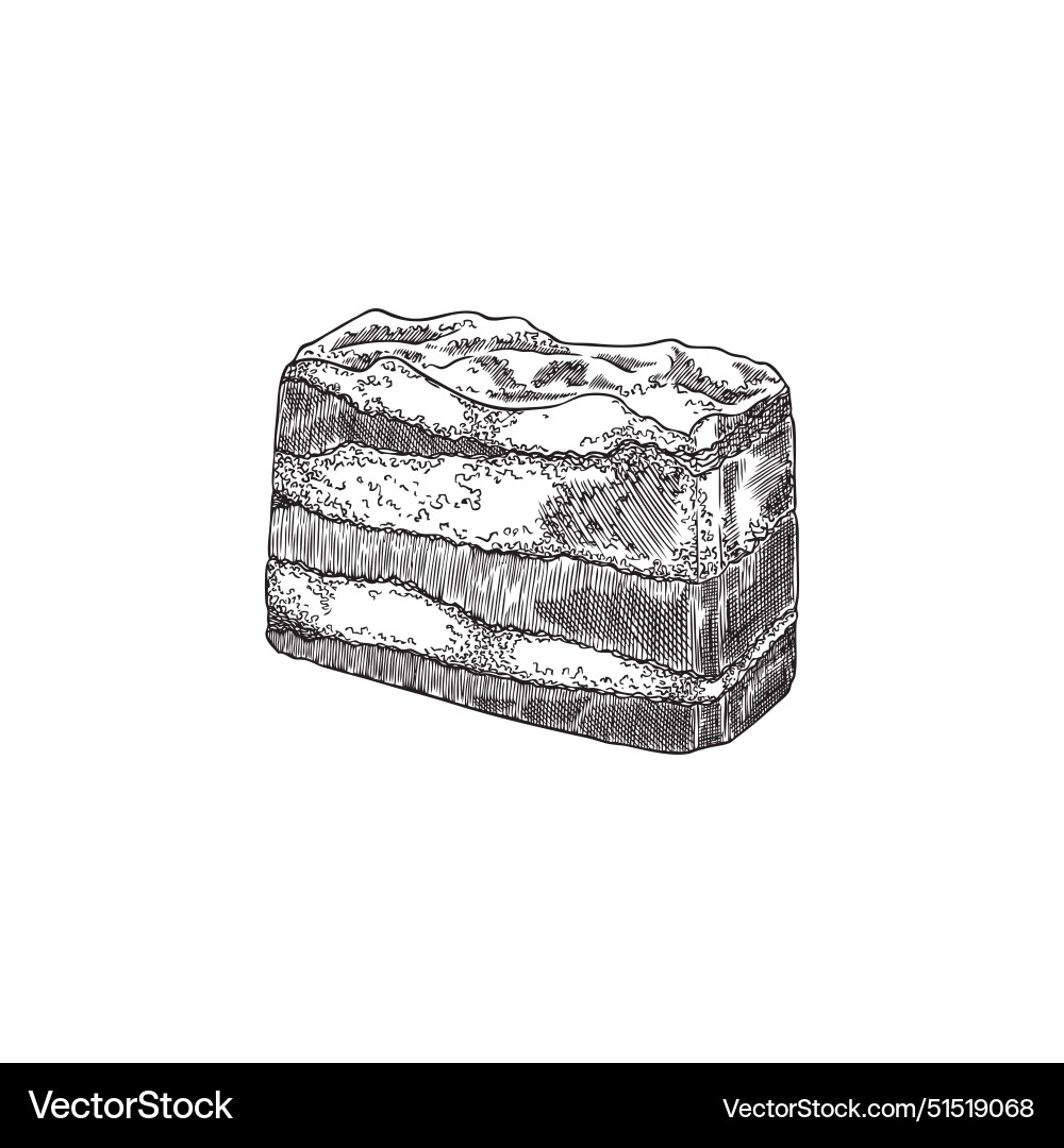 Handmade natural soap engraved hand drawn Vector Image