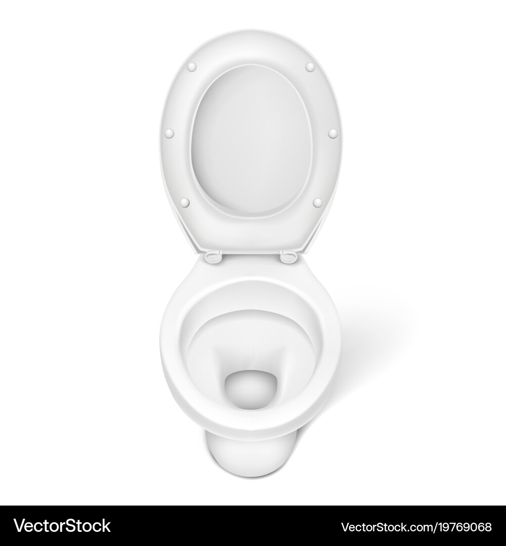 Realistic toilet bowl Royalty Free Vector Image