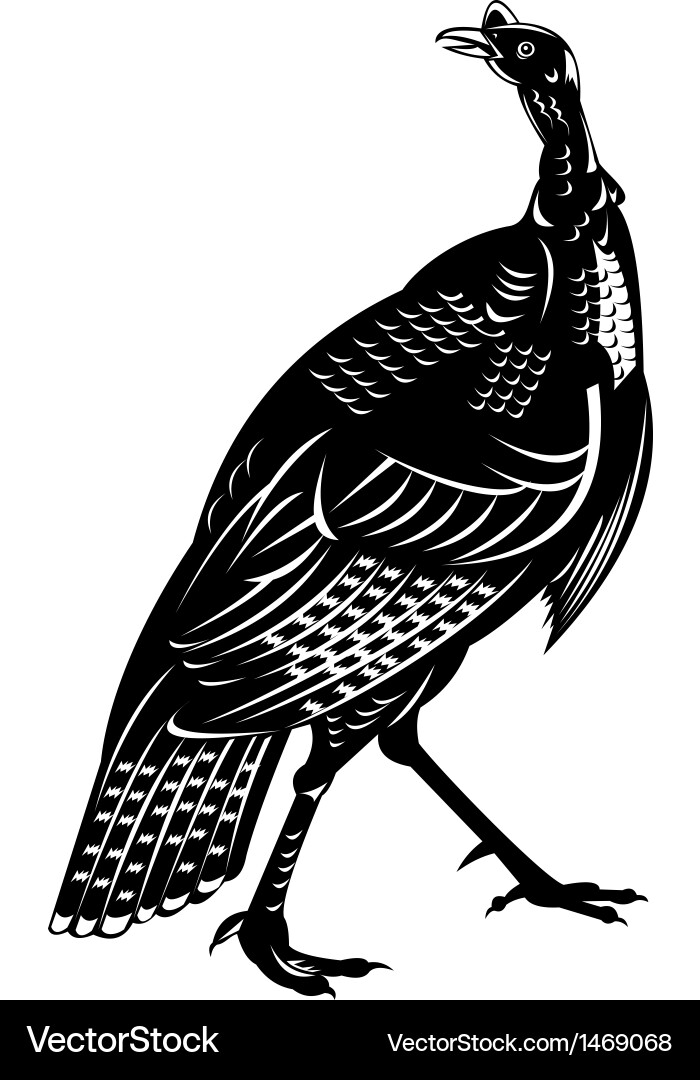 Wild turkey done in retro style Royalty Free Vector Image