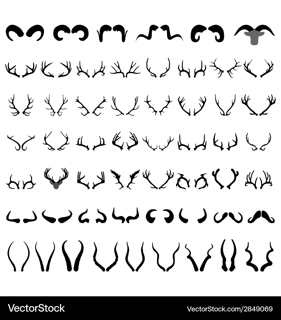 Different horns Royalty Free Vector Image - VectorStock