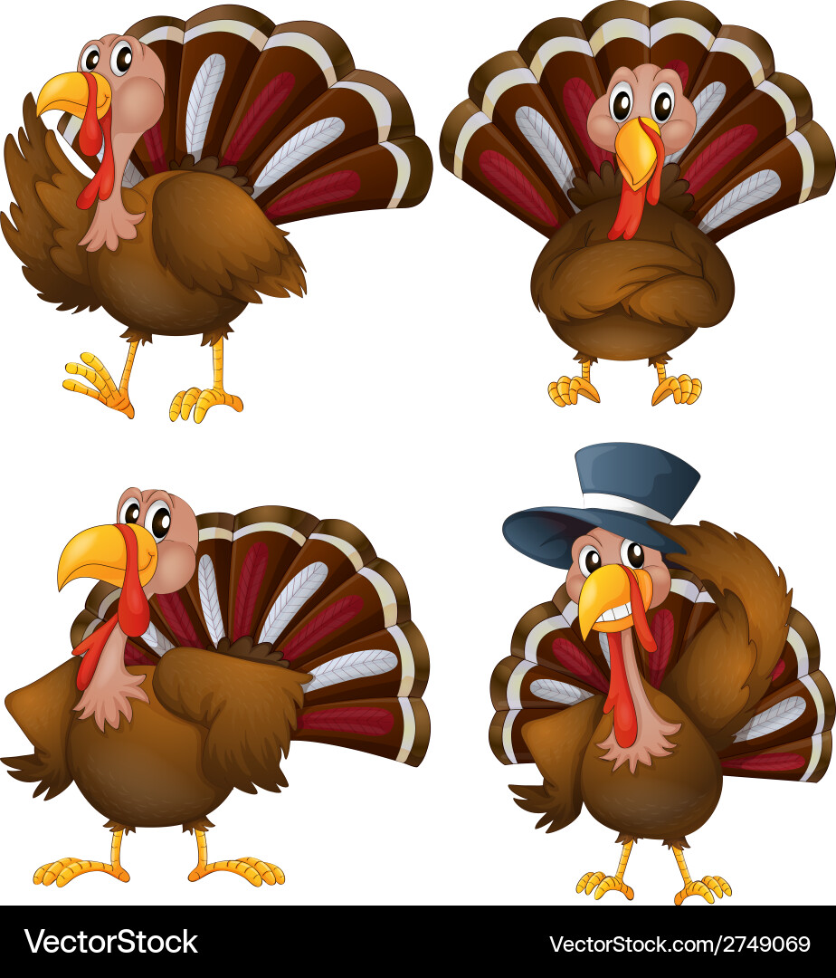 Turkey set Royalty Free Vector Image - VectorStock