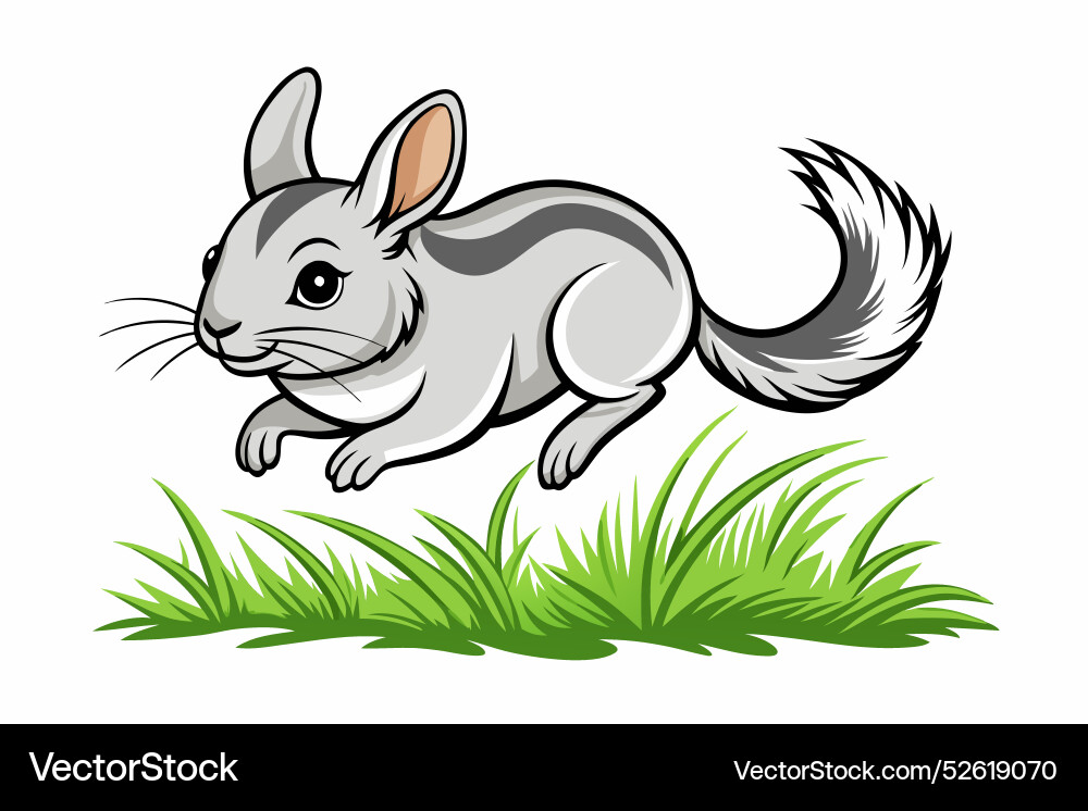 Chinchilla jump in grass silhouette o Royalty Free Vector