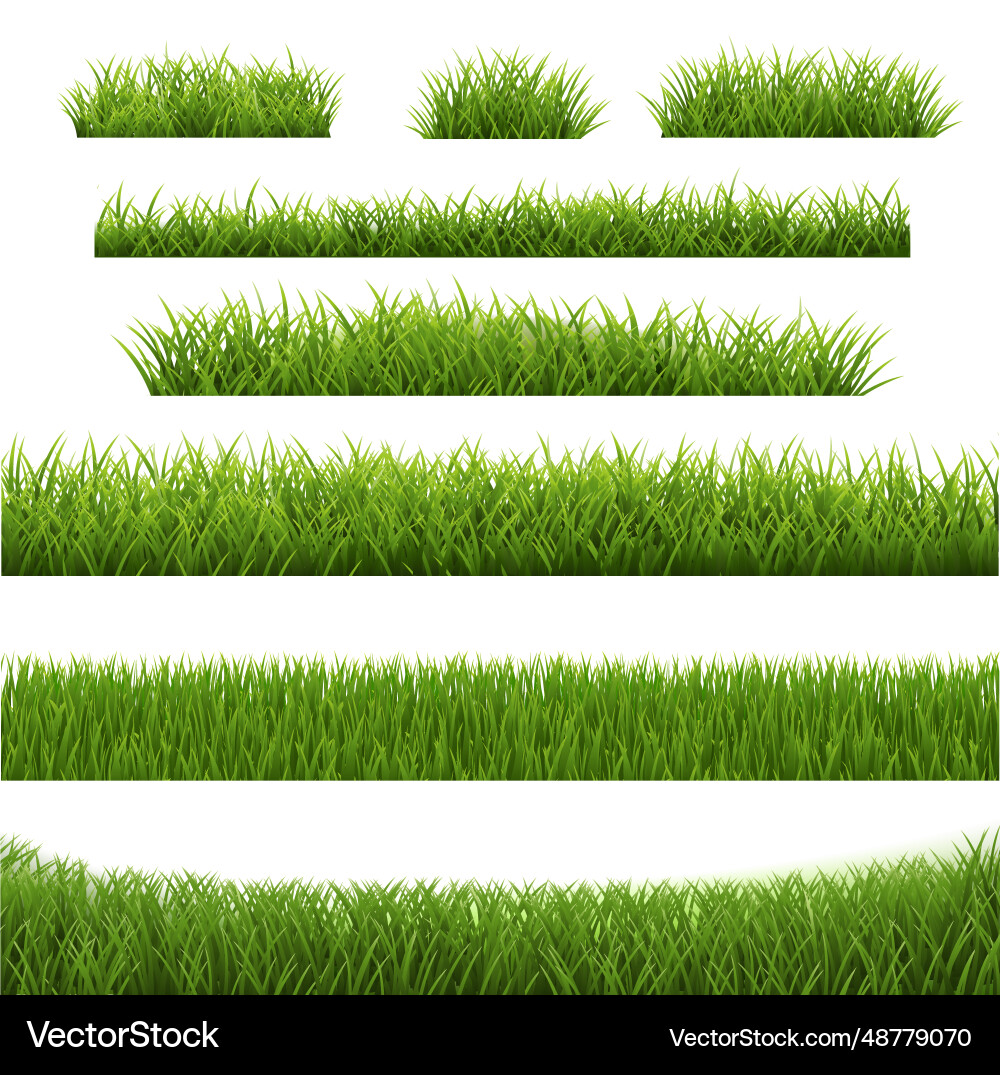 Green grass border set and isolated white Vector Image
