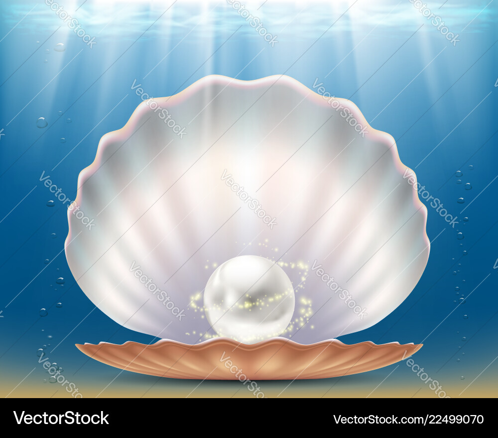 Open beautiful seashell with a precious pearl Vector Image