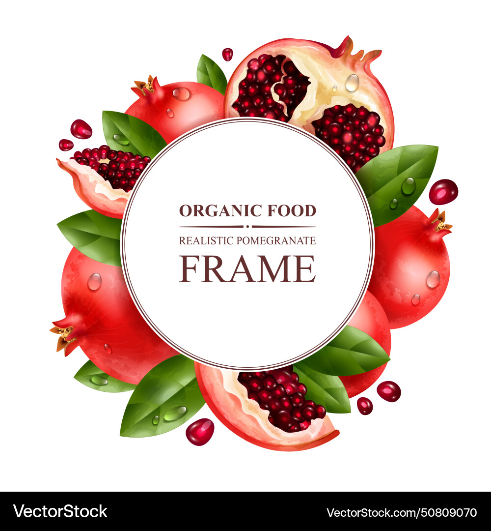 Pomegranate realistic frame Royalty Free Vector Image
