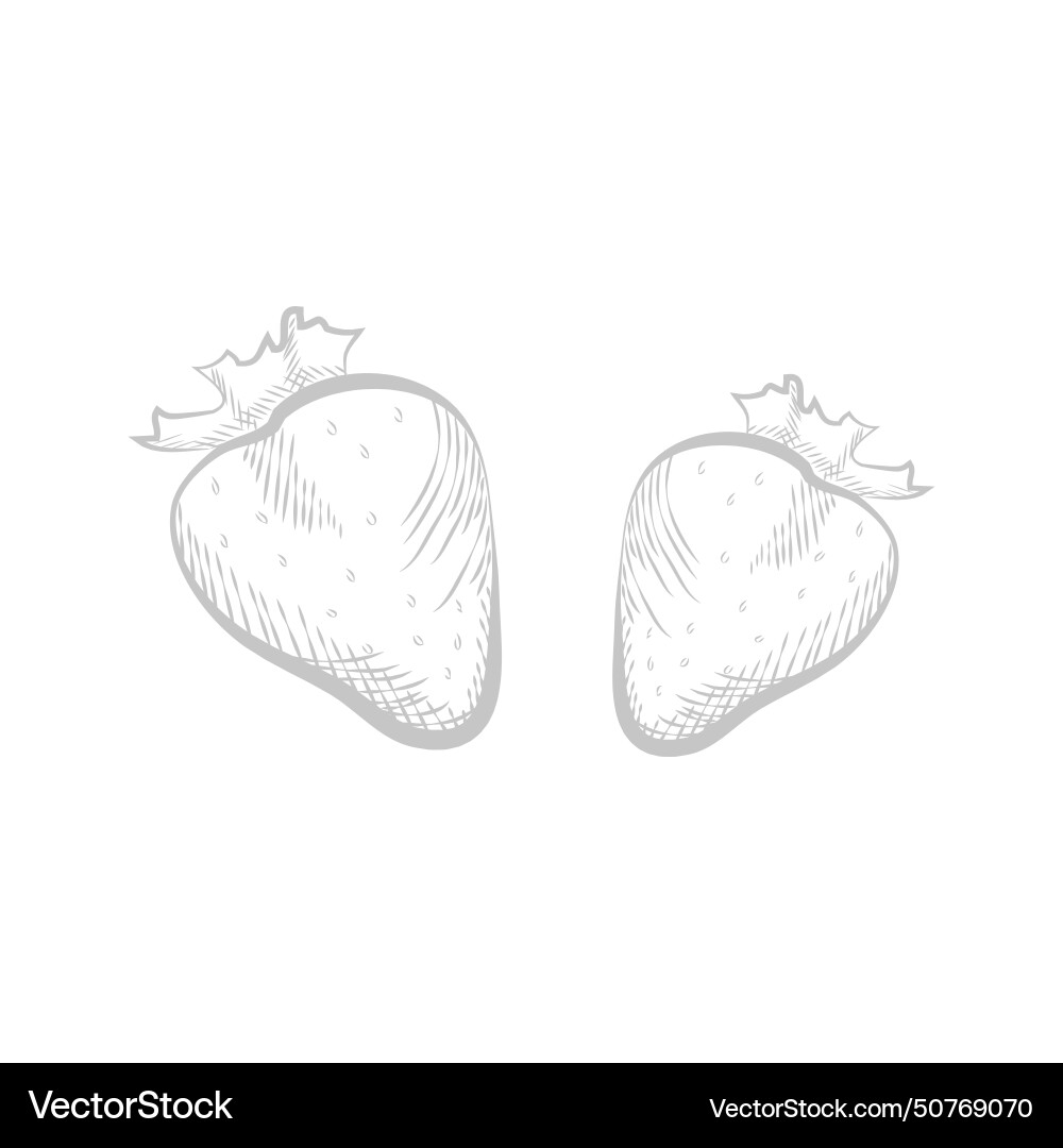 Strawberry line sketch sweet berry with leaf Vector Image