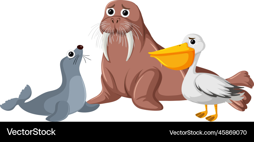 Walrus seal and pelican with sad face expression Vector Image