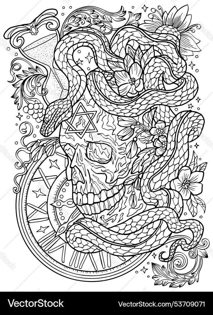 Hand drawn line art with snake Royalty Free Vector Image