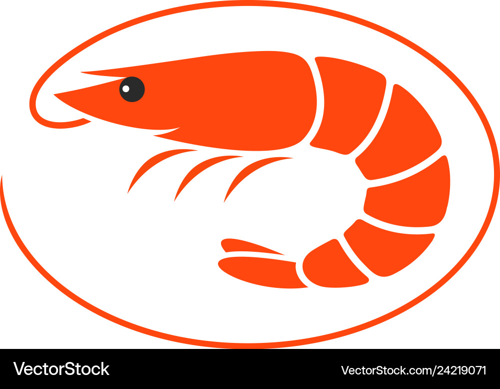 Shrimp Royalty Free Vector Image - VectorStock