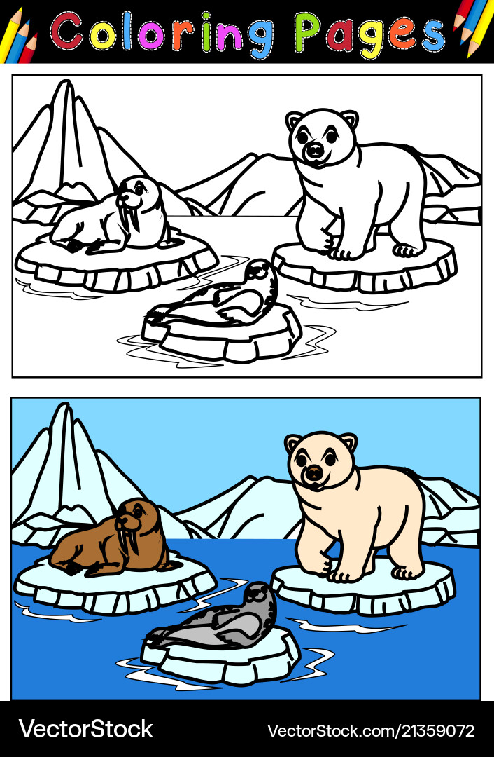 Arctic Animals Coloring Pages Royalty Free Vector Image