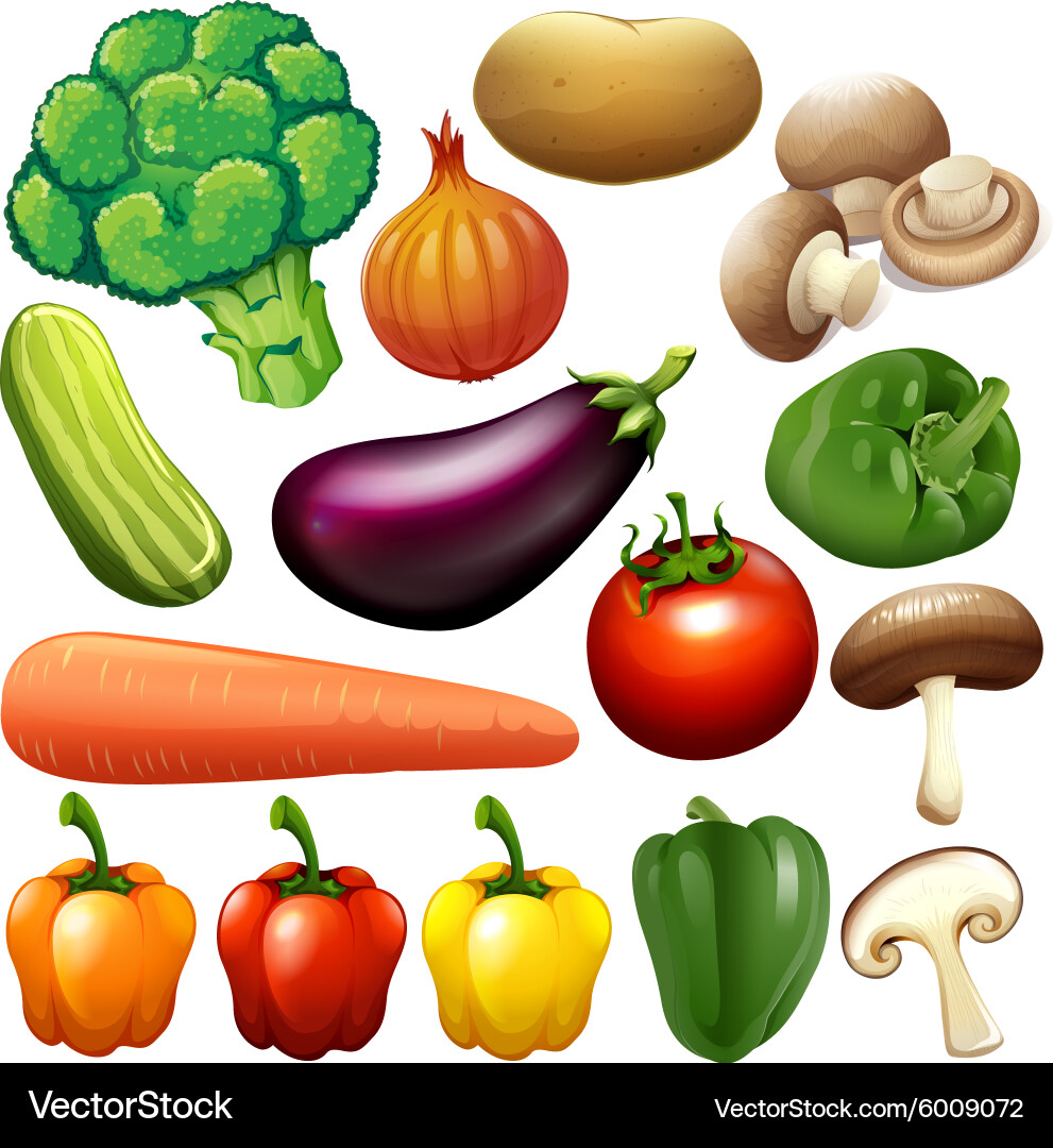 Assorted Fresh Vegetables Royalty Free Vector Image