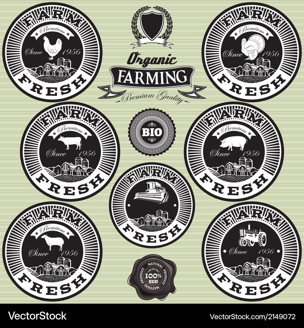 Farm Fresh Icons - Harvest Collection Royalty Free Vector