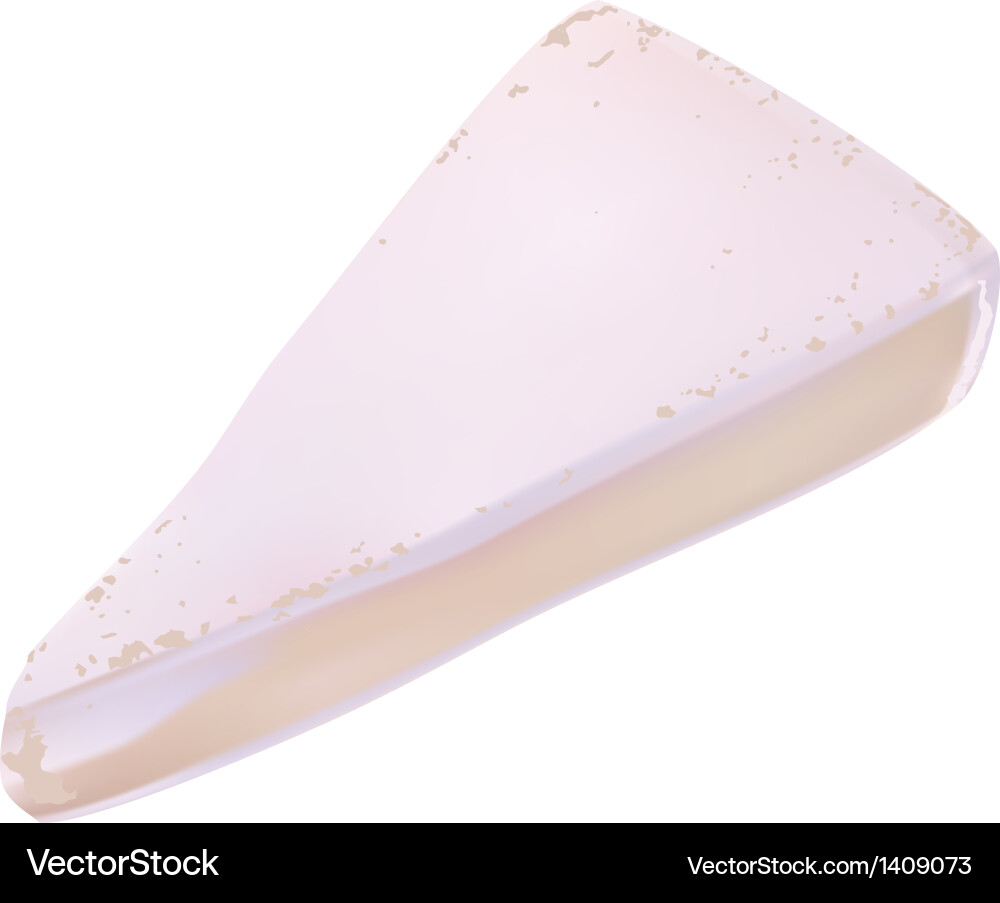 Brie cheese Royalty Free Vector Image - VectorStock