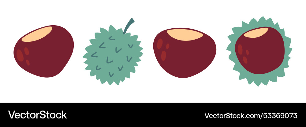 Chestnuts set autumn cozy design elements flat Vector Image