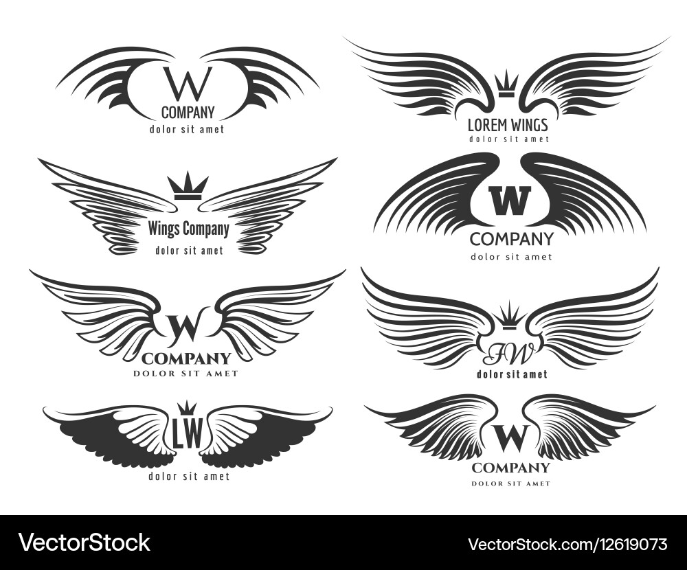Wings logotype set bird wing or winged logo design