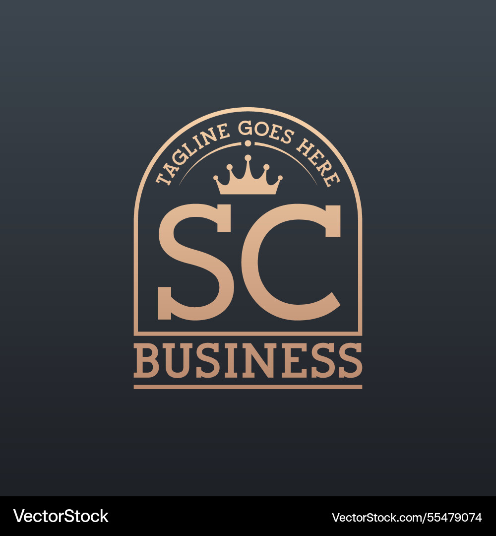 Luxury sc logo with crown elegant letter Vector Image