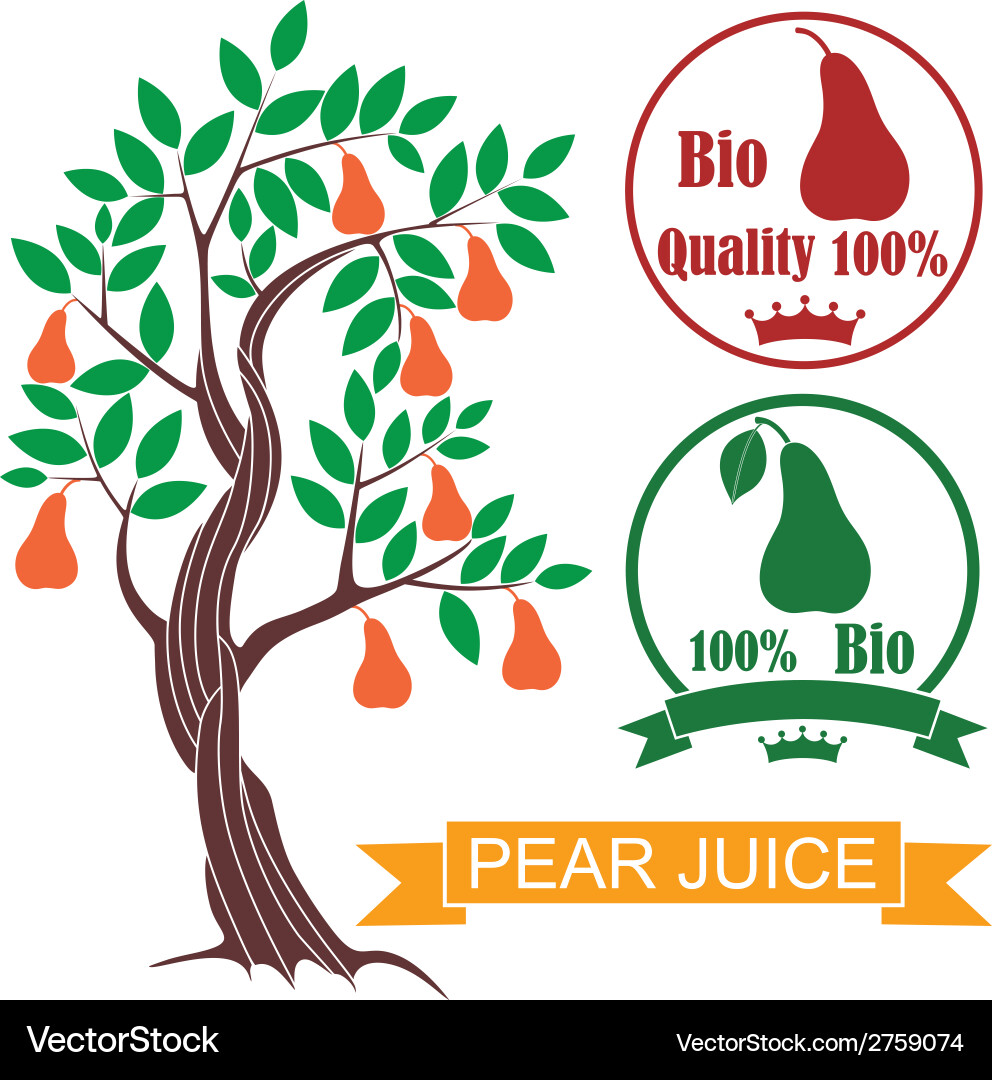 Pear Royalty Free Vector Image - VectorStock