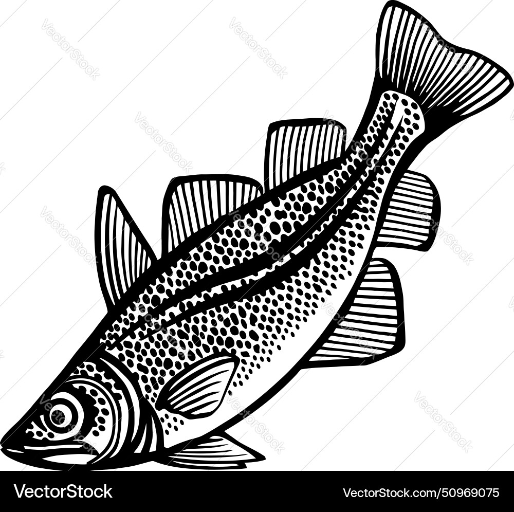 Atlantic cod - american fishes logo fish Vector Image
