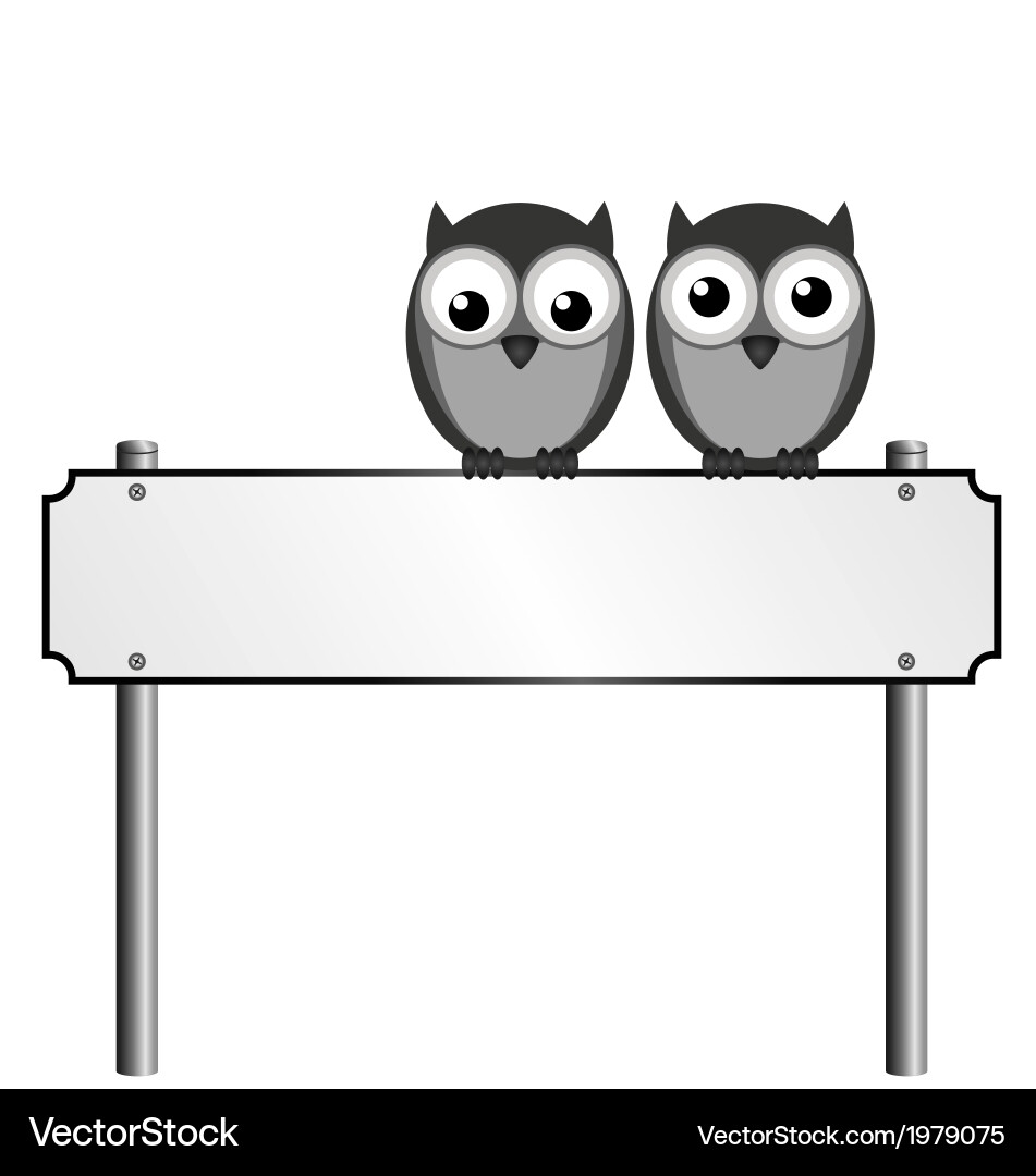 Blank street name sign Royalty Free Vector Image