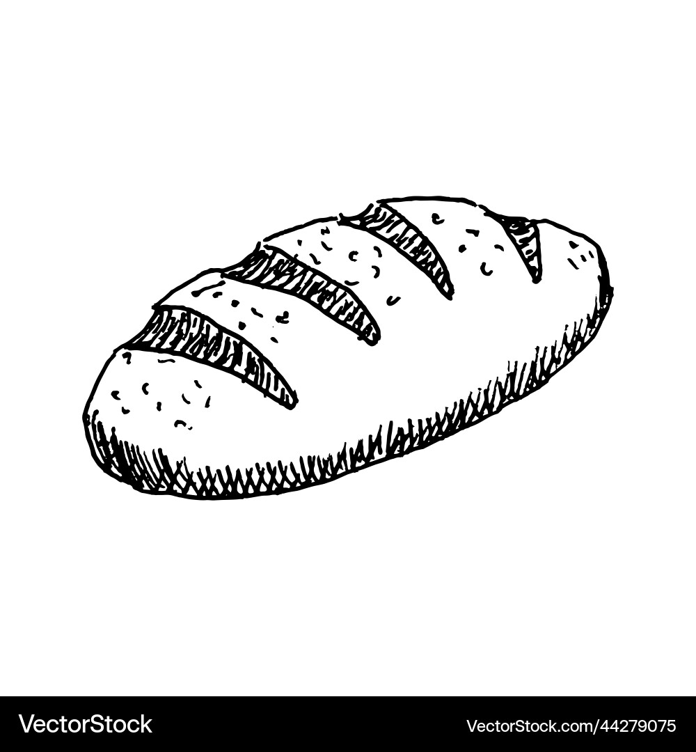 Bread Loaf Sketch Vector Images (over 4,100)