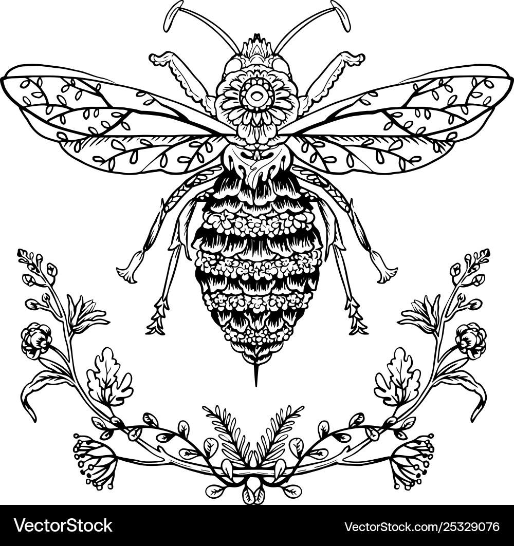 Botanical Bee Ornament Royalty Free Vector Image