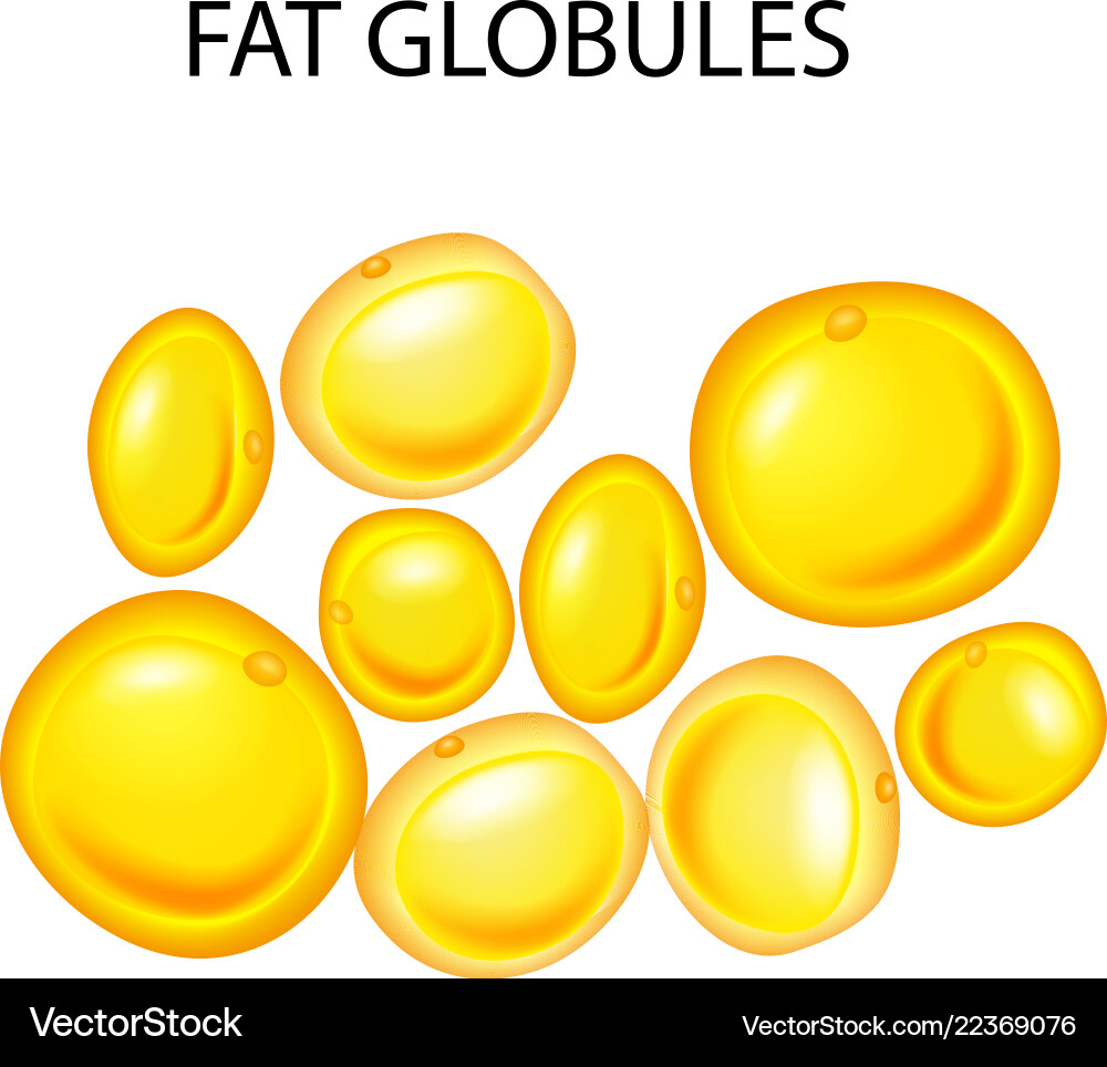 Colostrum Vector Images (over 300)