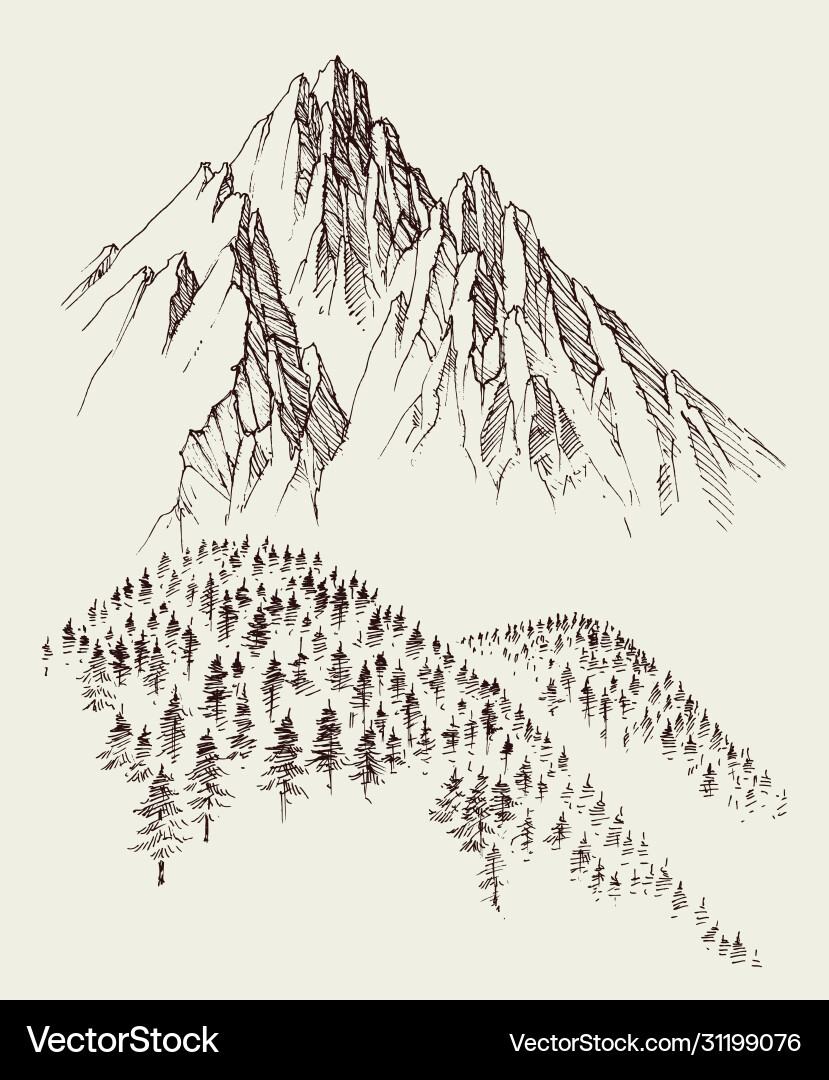 Nature drawing mountains ranges and alpine forest Vector Image