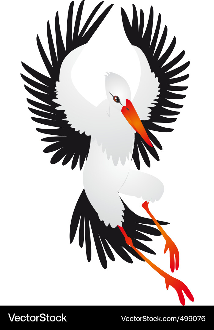 Stork Royalty Free Vector Image - VectorStock