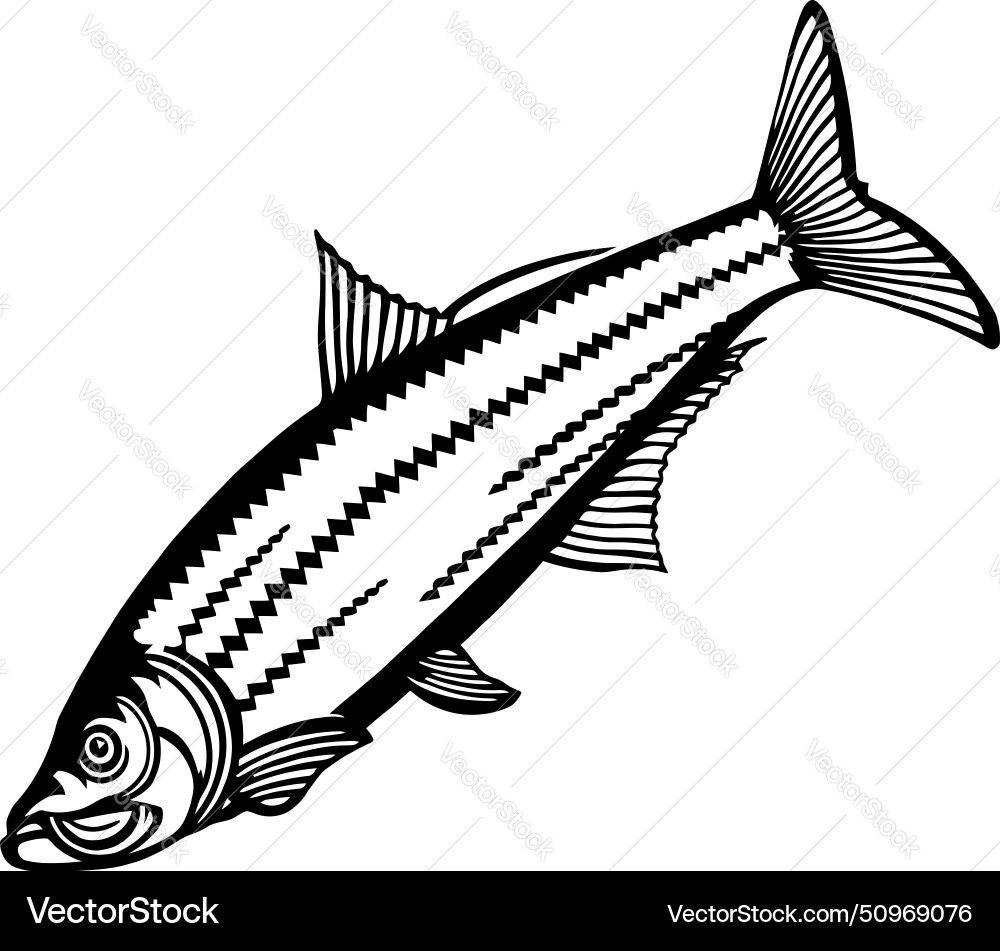 Tarpon - american fishes logo fish Royalty Free Vector Image