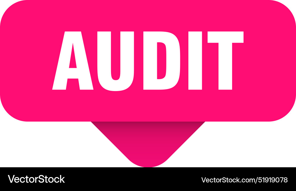 Audit sticker sign on transparent background Vector Image