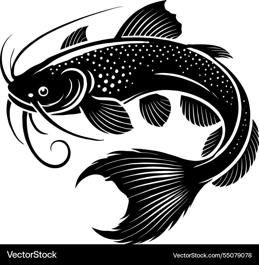 Big catfish silhouette isolated on white Vector Image