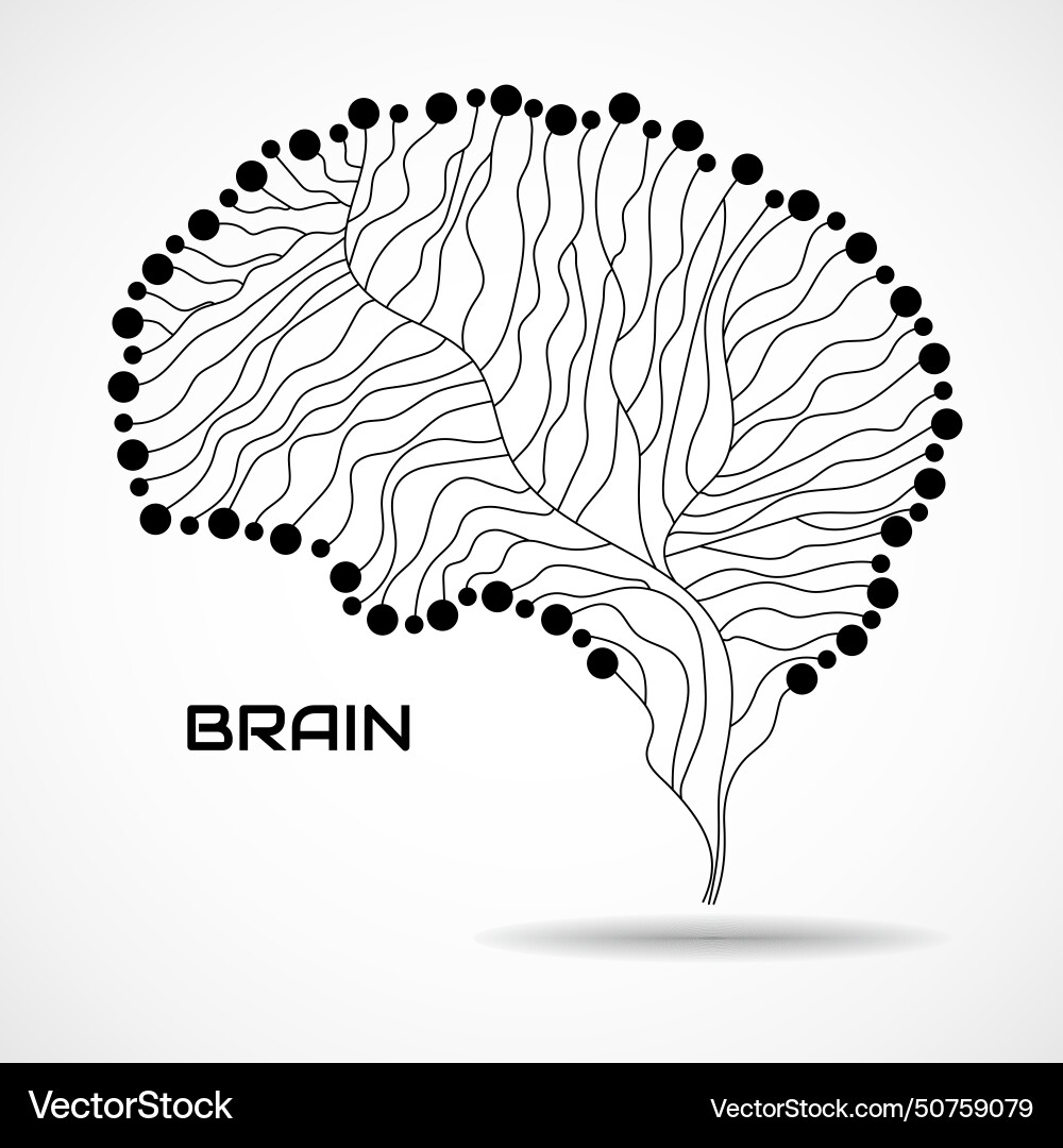 Abstract human brain of lines on white background Vector Image