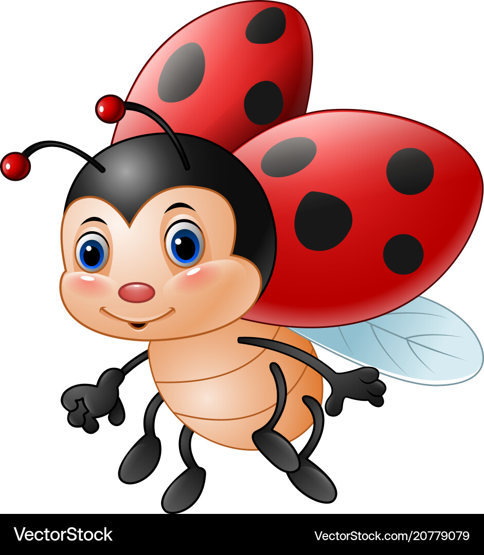 Cartoon funny ladybug Royalty Free Vector Image