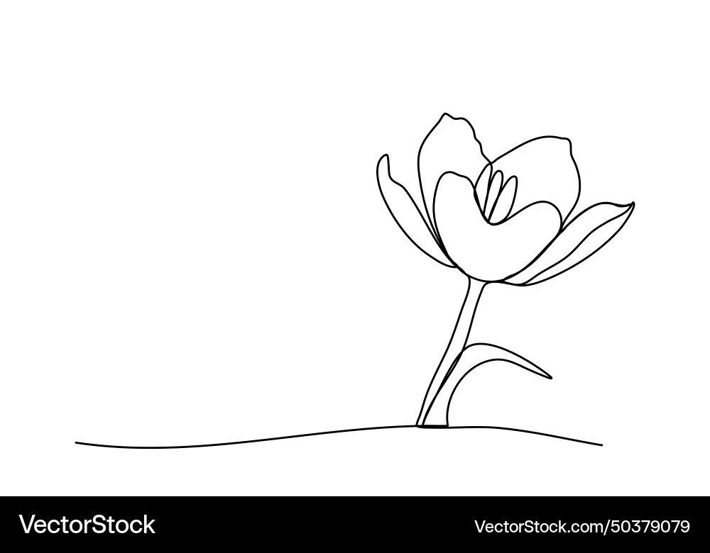 Flower one line drawing Royalty Free Vector Image