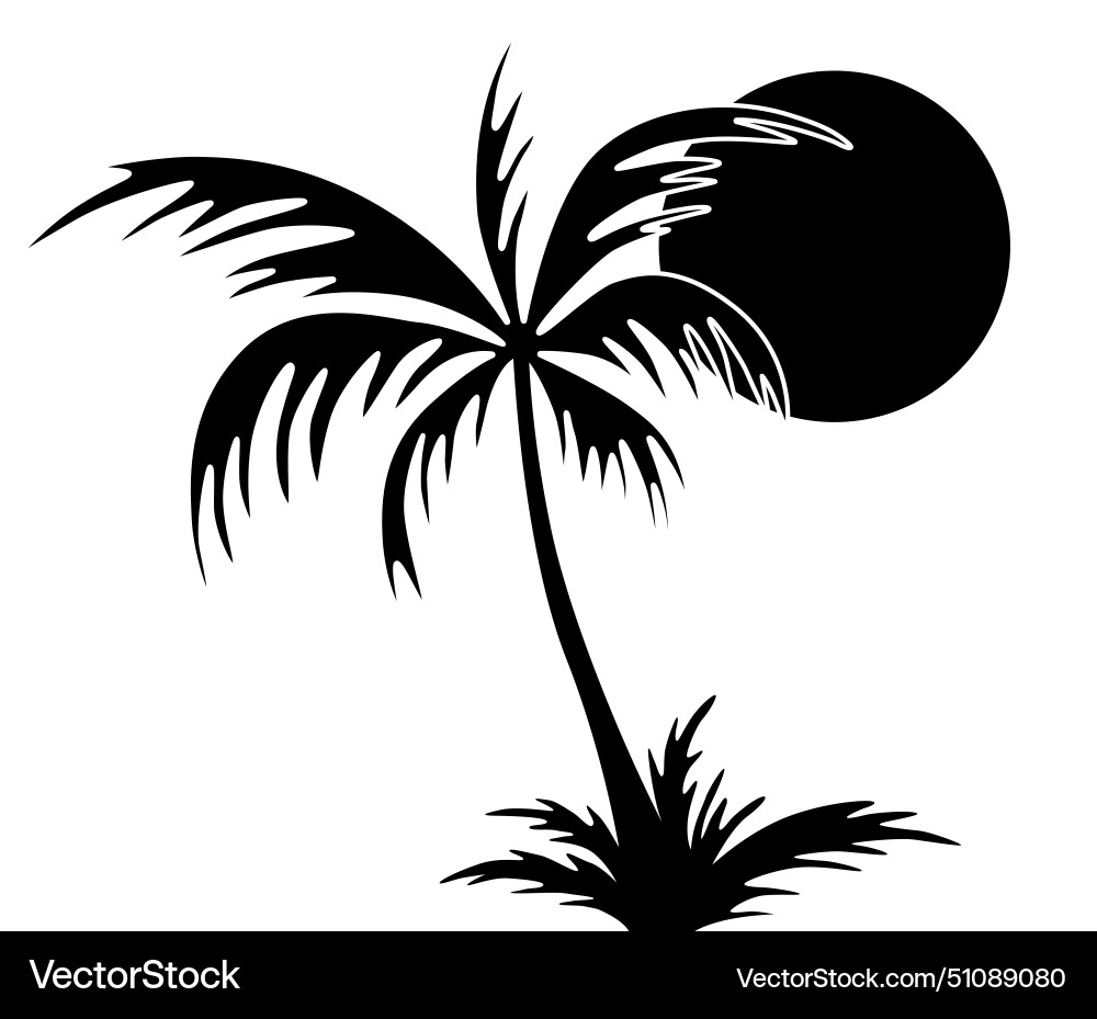 Palm tree whit sun Royalty Free Vector Image - VectorStock