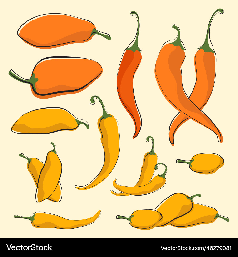 Yellow and orange chilli with boho style Vector Image